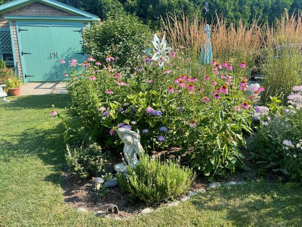 The Morning Quiet – Alayne White