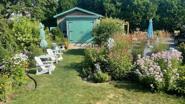 This Newly Found Freedom – Alayne White